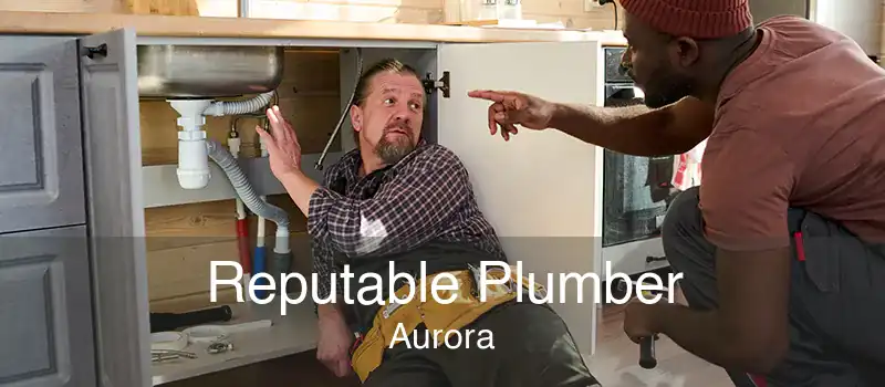 Reputable Plumber Aurora | Reputable Bathroom Plumber Services